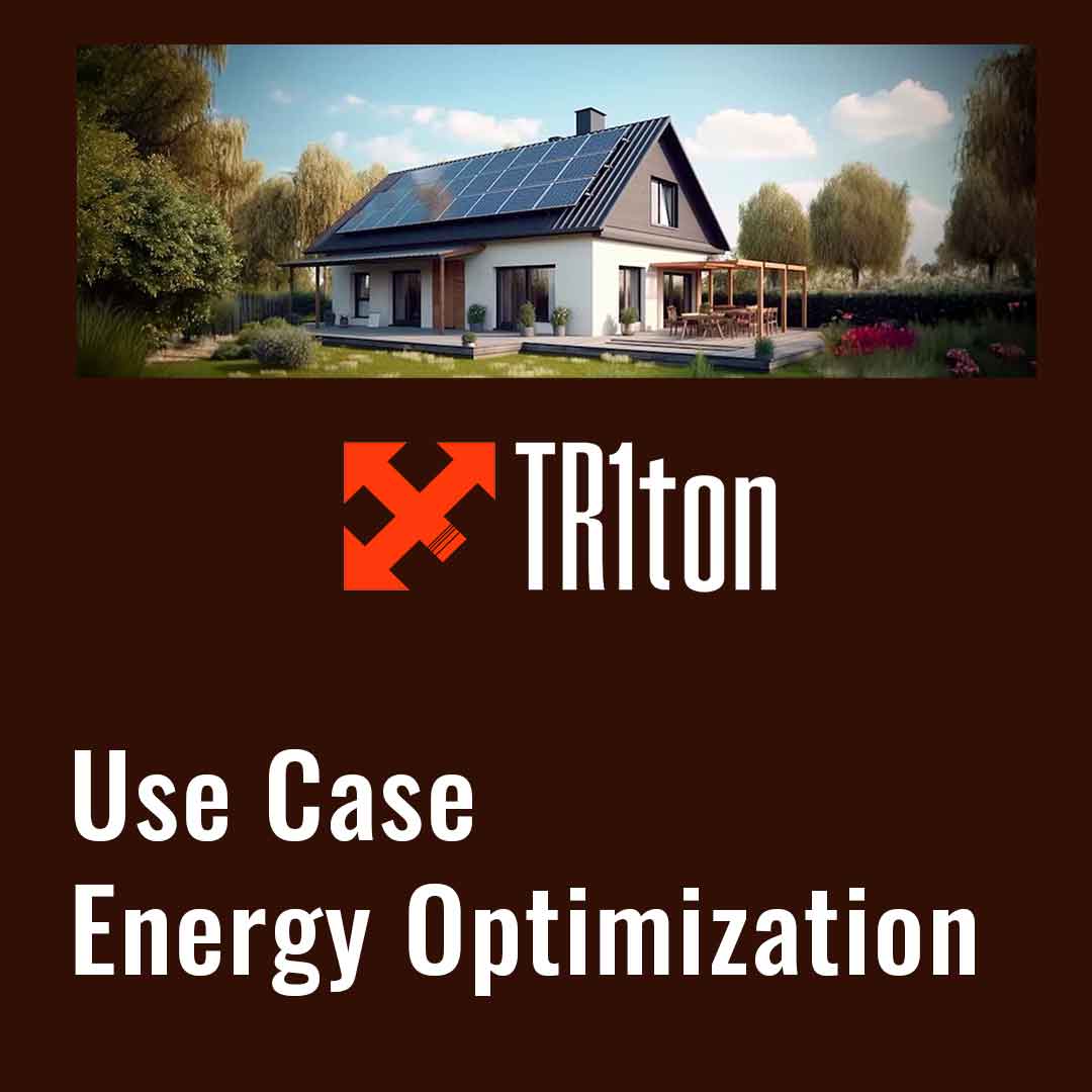 Use Case Energy Optimization - TR1ton Global